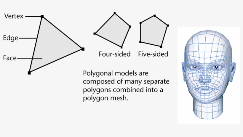 You Create Your 3d Polygonal Models Using Polygon Meshes - Polygonal ...