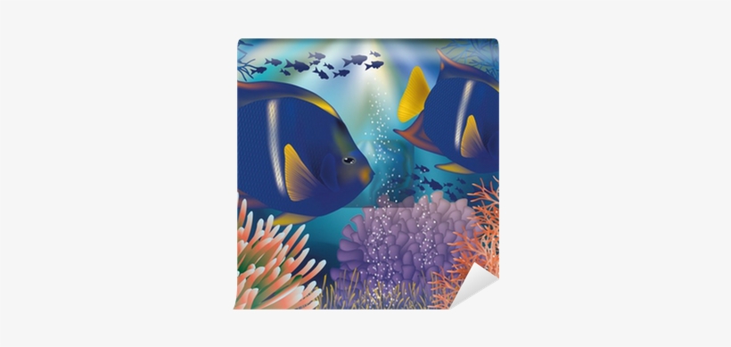Underwater World Wallpaper With Tropical Fish Wall - Wallpaper ...