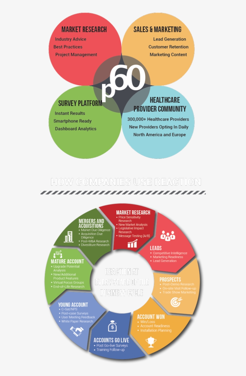 Download Transparent Reaction - Circle - PNGkit
