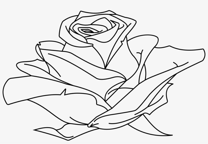Rose Line Drawing At Getdrawings - Rose Line Drawing Png - 2260x1454 ...