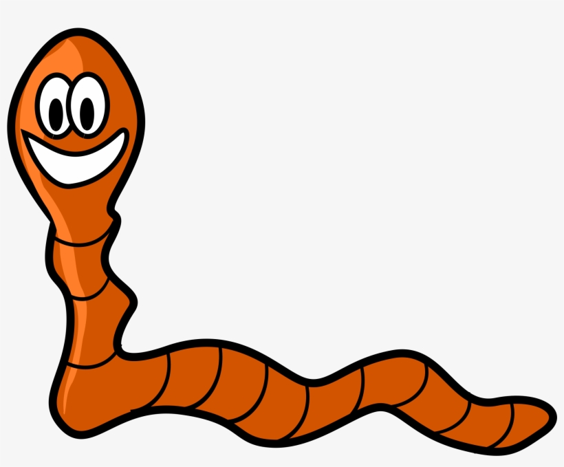 Worm Png - 2400x1800 PNG Download - PNGkit