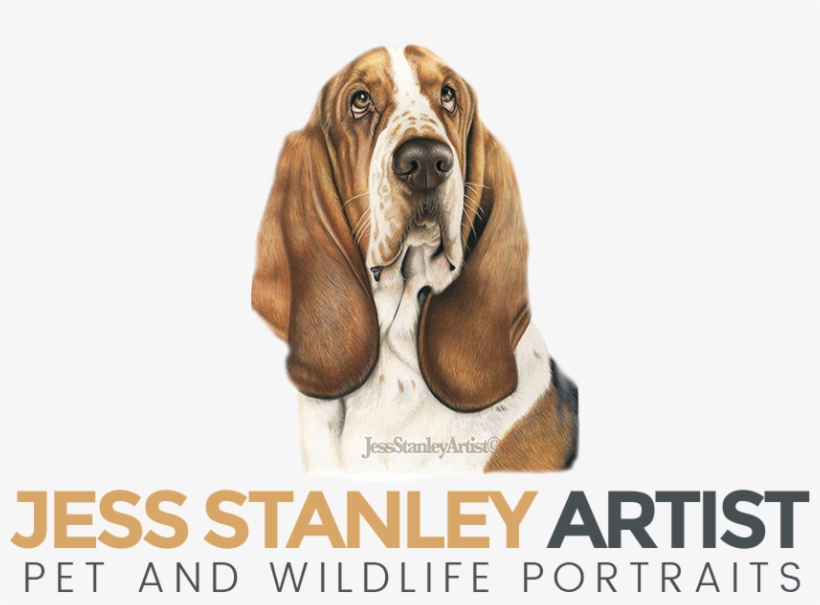 Download Transparent Demo Demo - Jess Stanley Artist - PNGkit