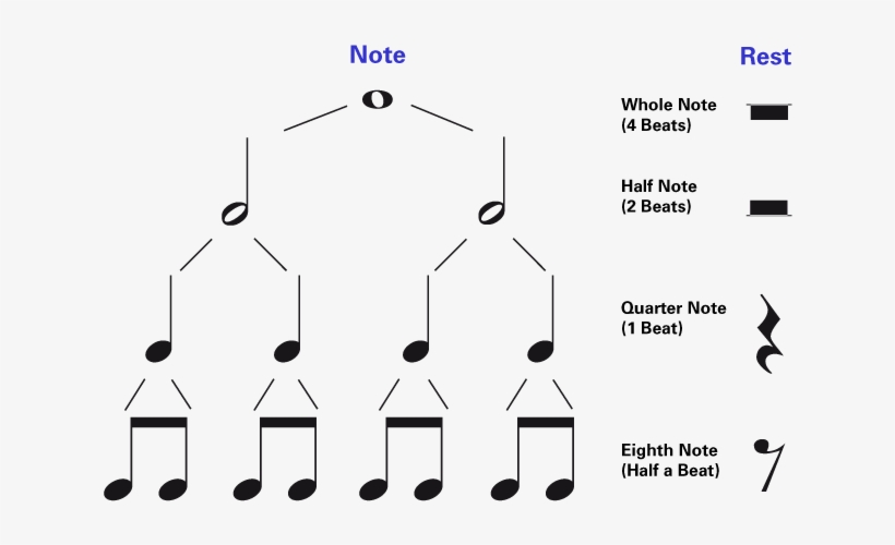 Notes And Rest Values - Rhythm - 720x582 PNG Download - PNGkit