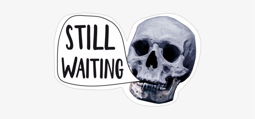 Download Transparent Life Transparent Png Sticker - Skull - PNGkit