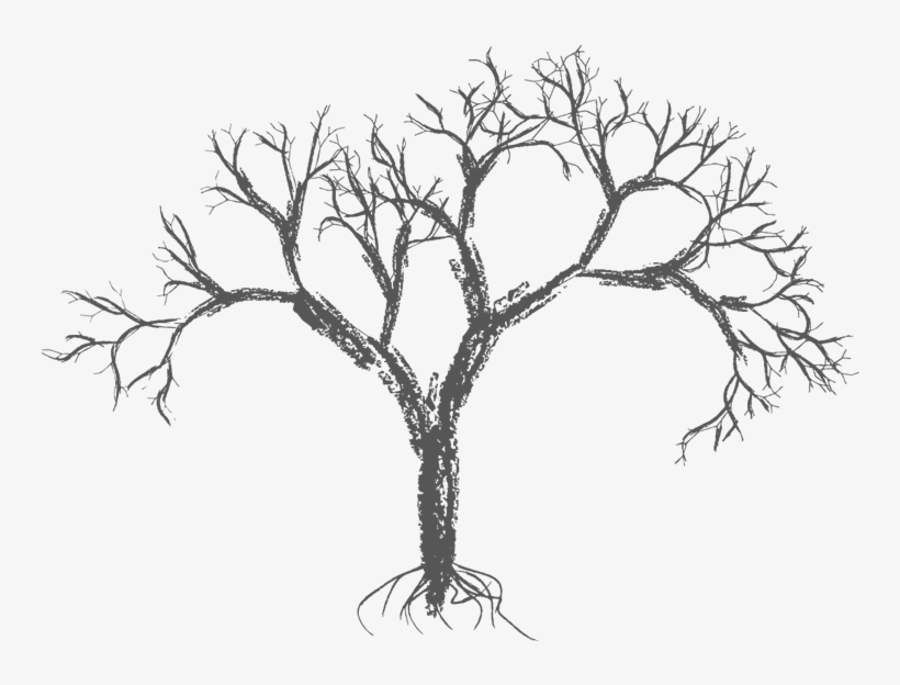 Bare Crayon Drawing Tree Wall Decal Easy Decals - Brush Photoshop Naked ...