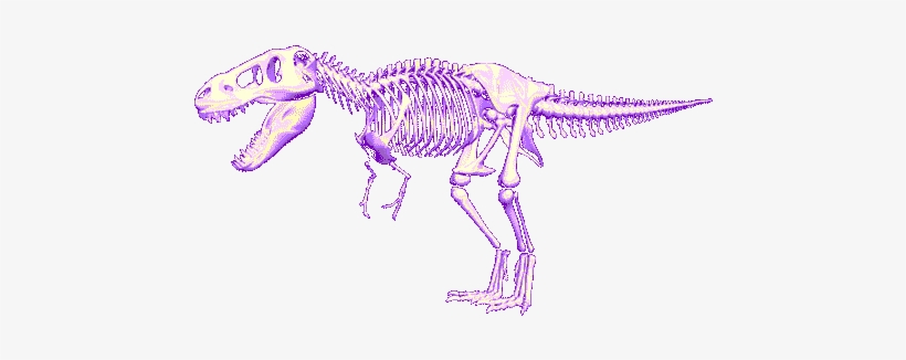 Png Trex Transparent - Lesothosaurus - 500x375 PNG Download - PNGkit