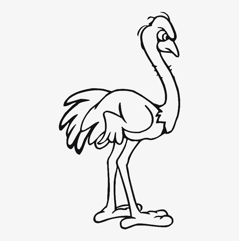 Common Ostrich Drawing Cartoon Clip Art - Ostrich Angry Cartoon ...