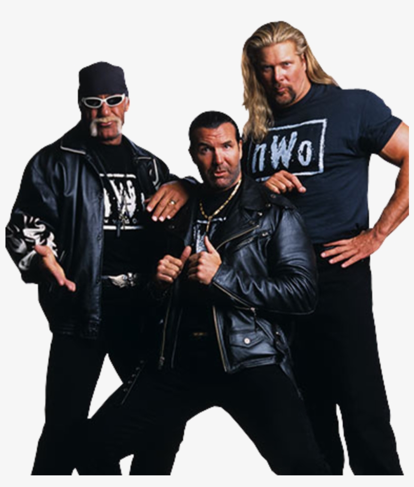 Hulk Hogan Nwo For Kids - Nwo Hogan Hall Nash - 384x447 PNG Download ...