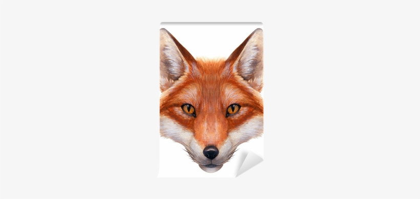 Red Fox Face - 400x400 PNG Download - PNGkit