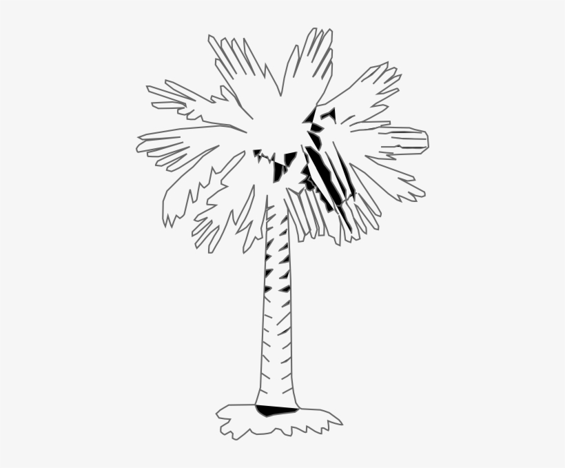 Drawing Palm Tree 34 - South Carolina State Tree Drawing - 426x599 PNG ...