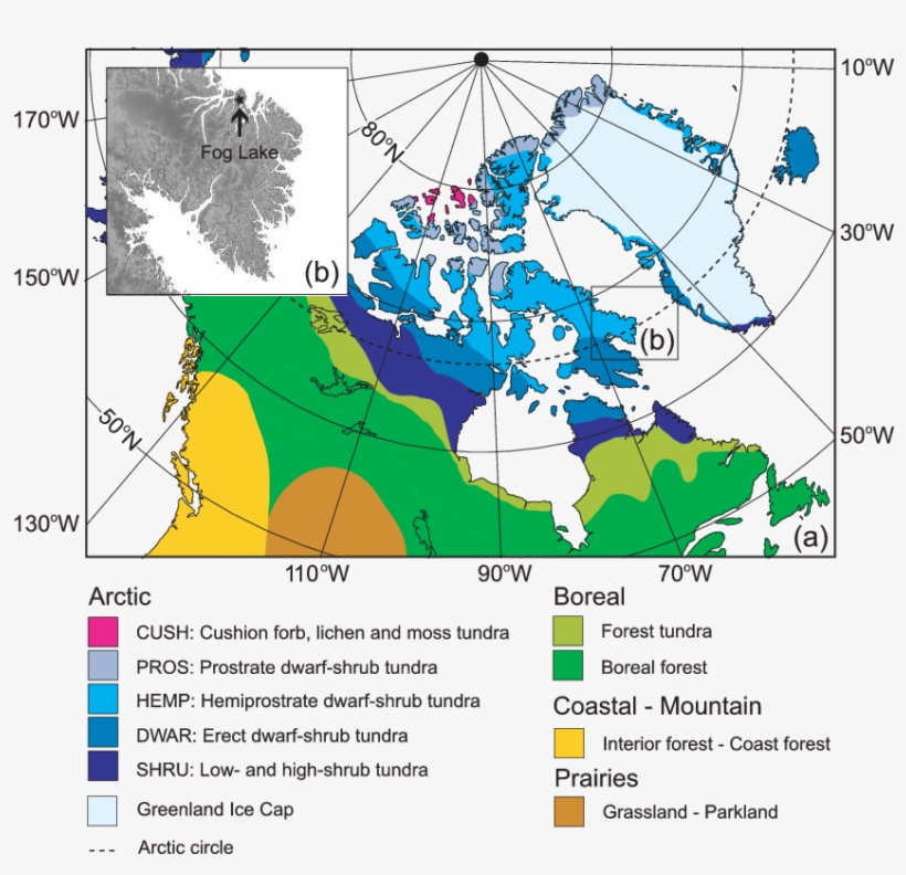 Main Vegetation Zones (or Biomes) Of Northern North - Canada Map Magnet ...