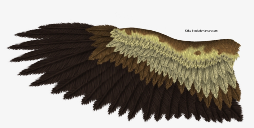 Eagle Wings Png Background Image - Red Eagle Wings - 2057x938 PNG ...
