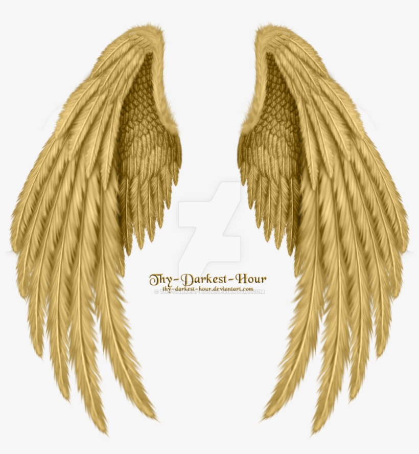 Gold Angel Wings Png Image Download - Golden Angel Wings Png ...