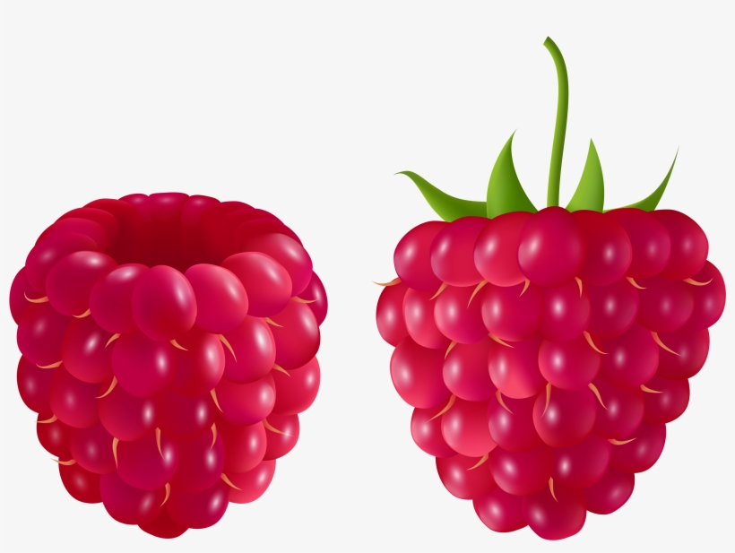 Raspberry Clip Art - 4590x3218 PNG Download - PNGkit