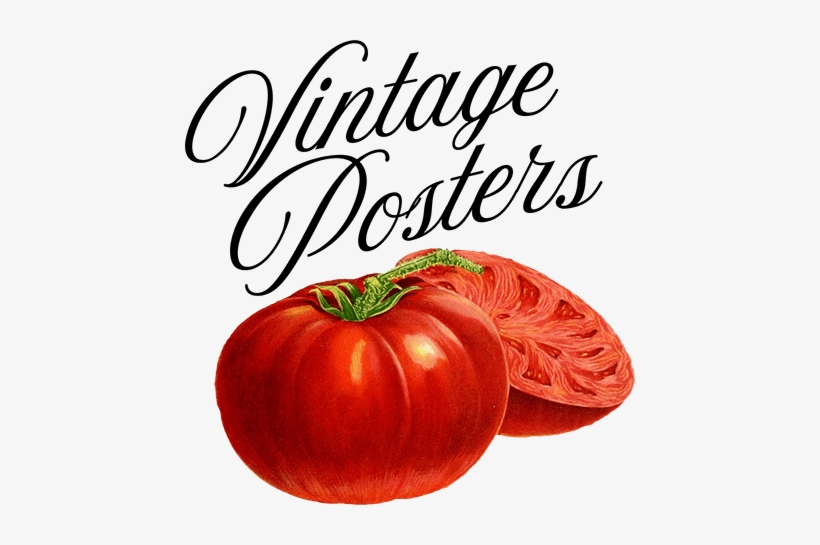 Select Options - 450x465 PNG Download - PNGkit