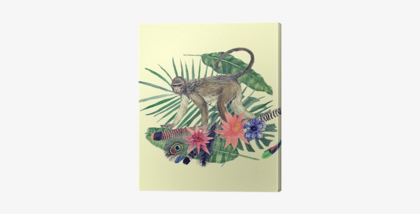 Watercolor Hand Drawn Illustration With Monkey, Feathers, - Watercolor ...