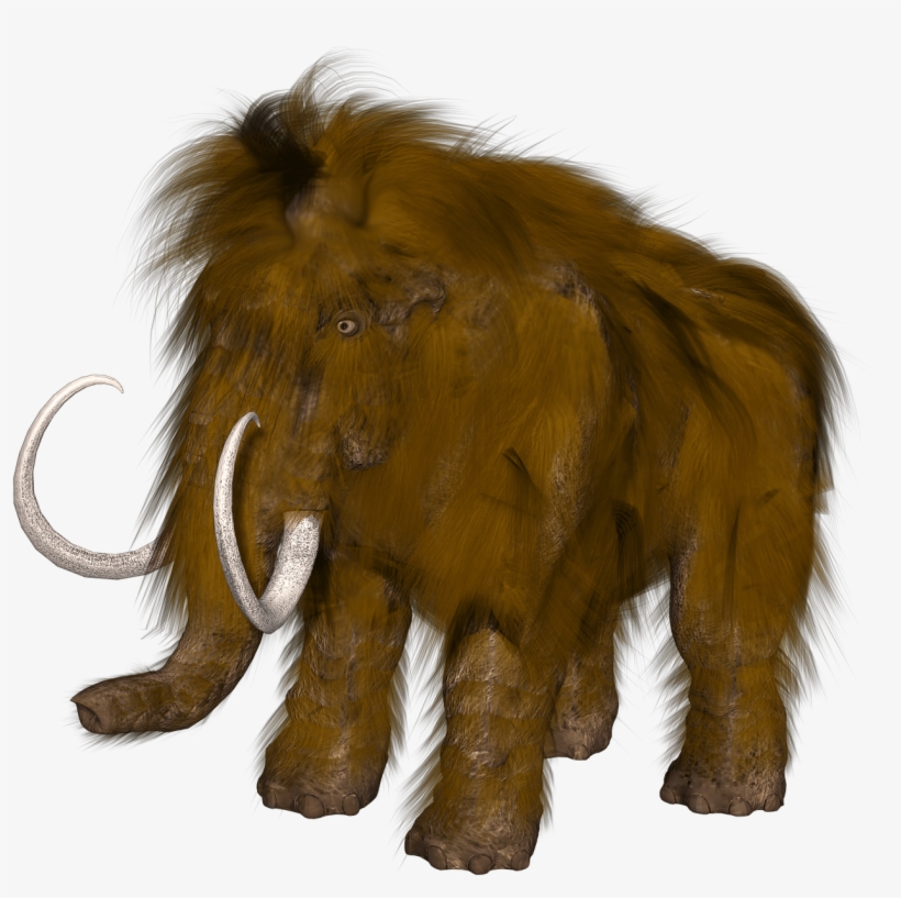 Download - Mammoth Transparent - 1280x1240 PNG Download - PNGkit