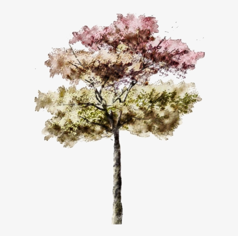 This Is A Test On Posting From Email - Architecture Rendering Photoshop ...