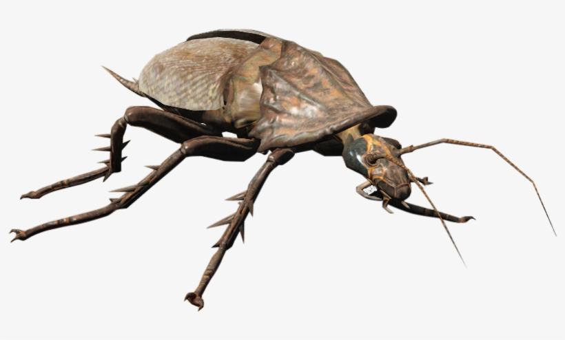 Radroach - Fallout 4 Radroach - 841x534 PNG Download - PNGkit