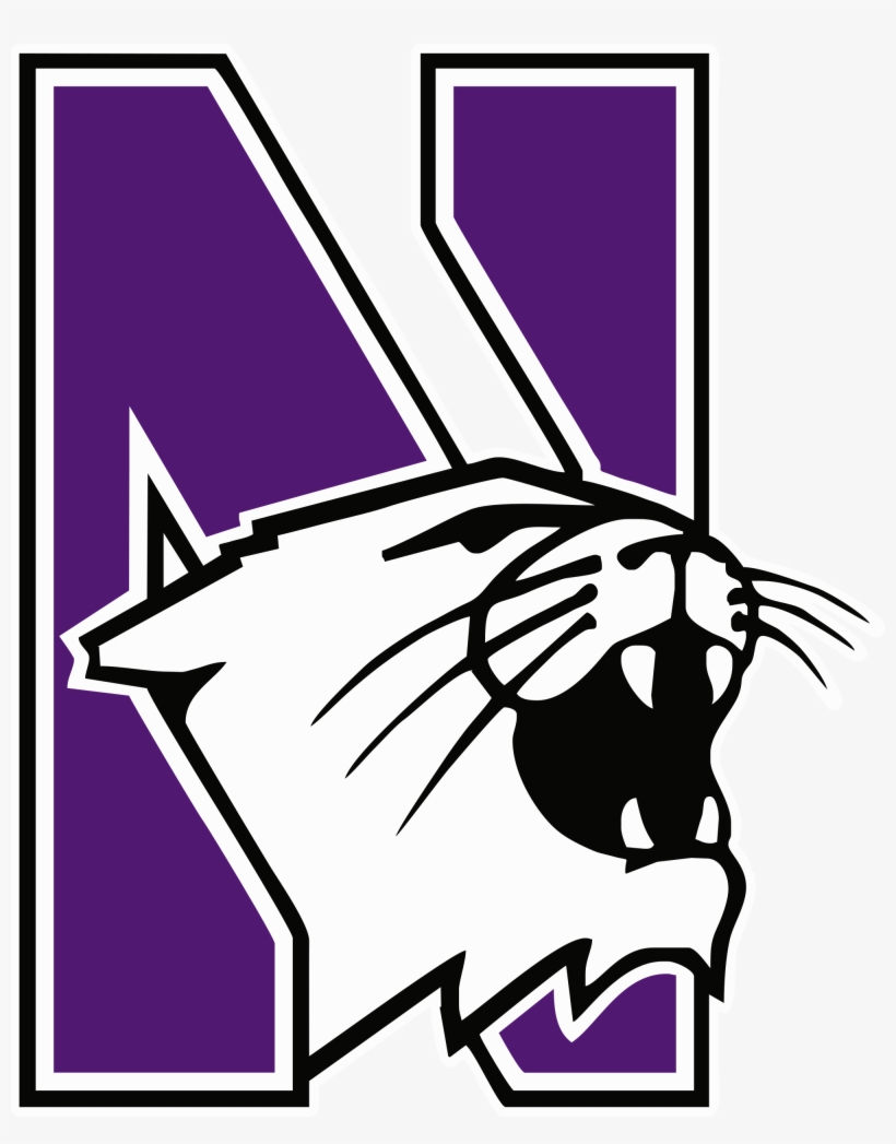 Download Transparent Wildcat Svg Purple - Northwestern Wildcats Logo ...
