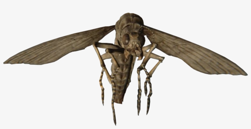 Man-eating Insect - Resident Evil 7 Bugs - 1280x720 PNG Download - PNGkit