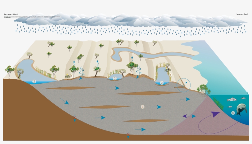 Beach Ridges - 1800x944 PNG Download - PNGkit