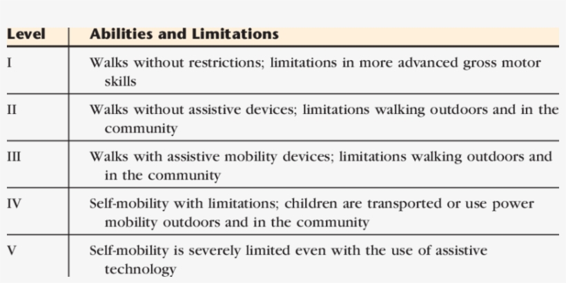 Gross Motor Function Classification System Level And