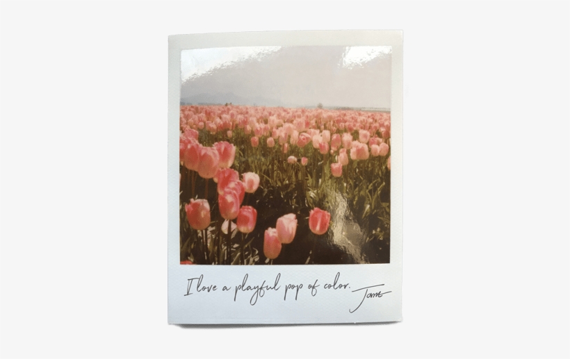 Jane's Quote With Tulips Background - Pretty Polaroid Notes By ...