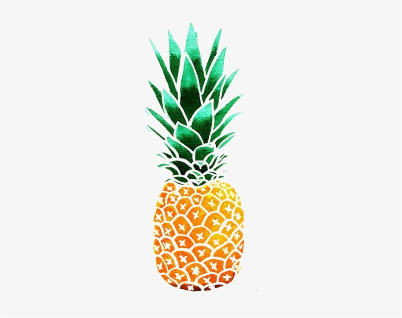 Transparent Pineapple Tumblr - Pineapple Illustration - 500x647 PNG ...