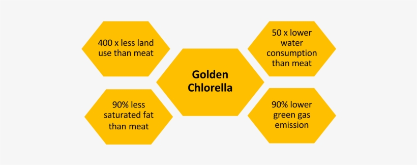Infographics Showing The Attributes Of Golden Chlorella - Big Data ...