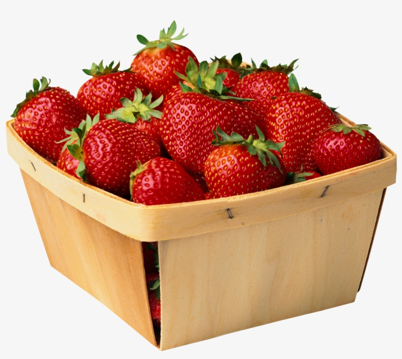 Super Duper Artic Photos S Blends Fun Deck Cards - 1024x868 PNG ...