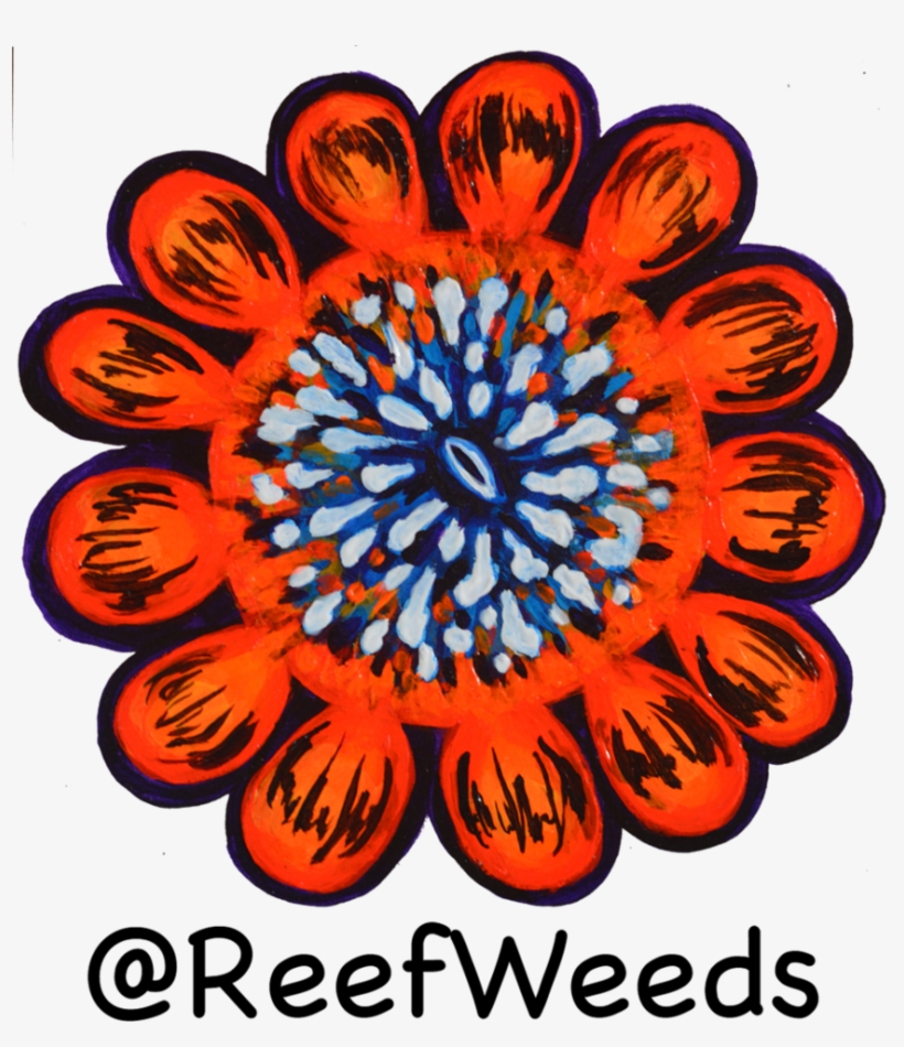 Goofy Png - 1000x1110 PNG Download - PNGkit