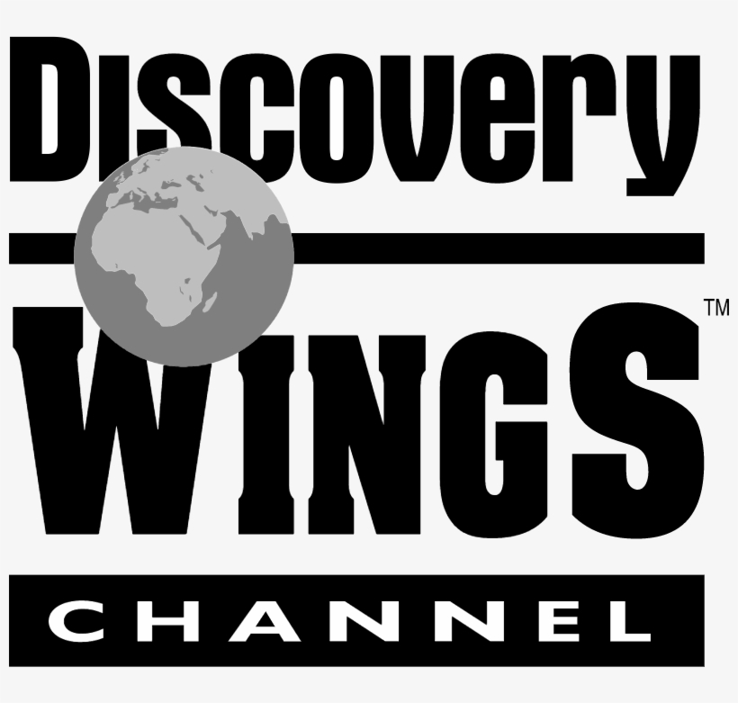 Discovery Wings Vector - Discovery Turbo Logos Wikia - 800x701 PNG ...