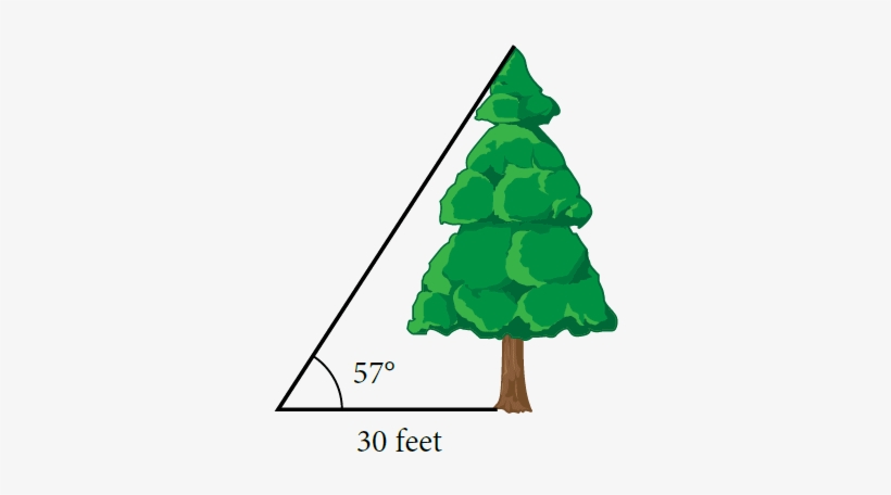 Angle Of Elevation - Angle - 343x386 PNG Download - PNGkit