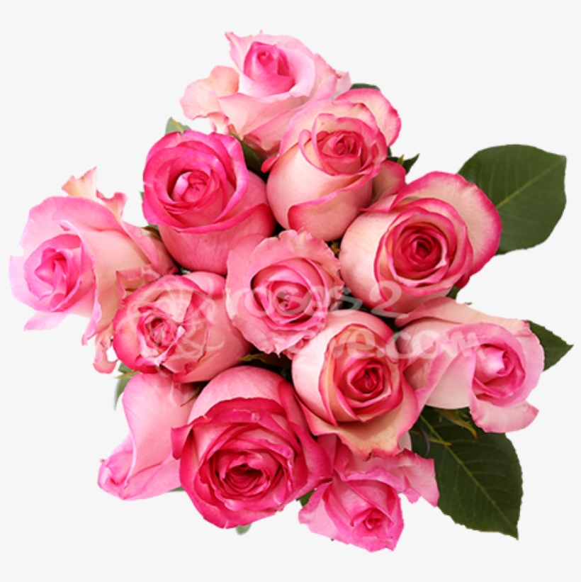 Real Flowers Png