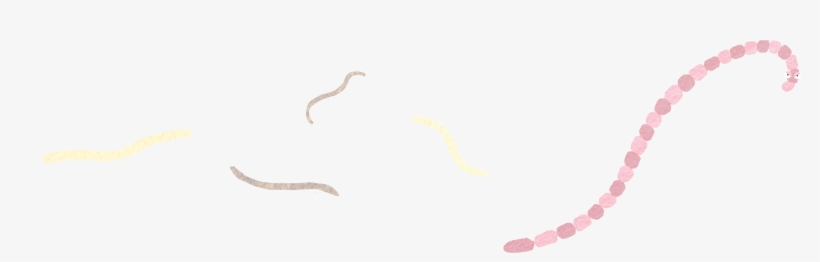 Download Transparent Worms - Tapeworms - PNGkit