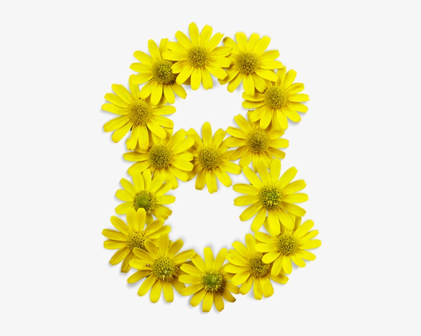 Numbers With Flower Png - 527x629 PNG Download - PNGkit