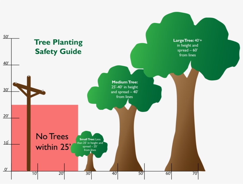 Safe Tree Planting - Safe Tree - 2665x1895 PNG Download - PNGkit