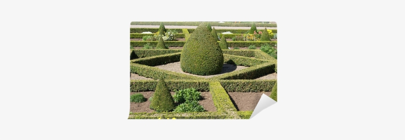 Box Hedges - Hedge - 400x400 PNG Download - PNGkit