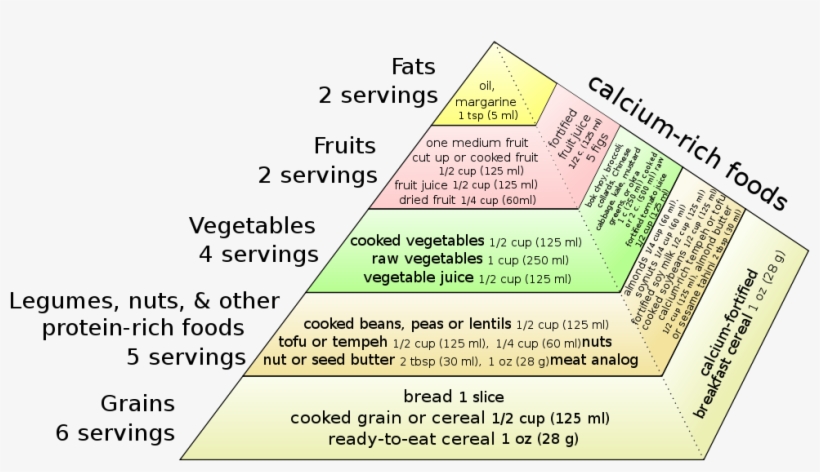 Vegan Food Pyramid American Dietetic Association Vegetarian Food Vegan Food Pyramid American Dietetic Association Vegetarian Food