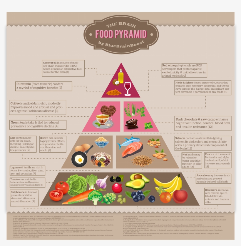 Brain Food Pyram - Brain Food Pyramid - 1500x1688 PNG Download - PNGkit