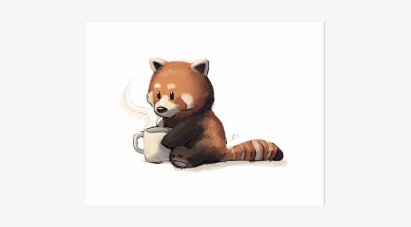 Print Redpanda - Red Panda Drinking Coffee - 500x500 PNG Download - PNGkit