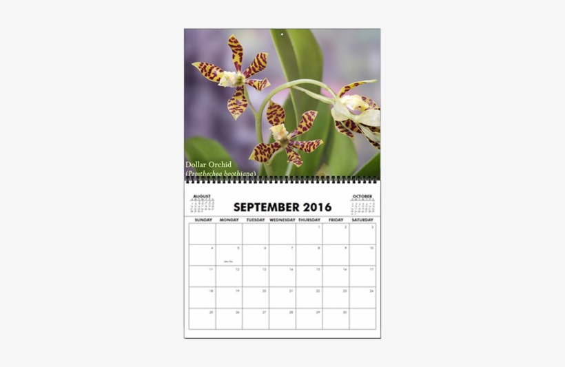 First Up, We Have Our Most Popular Calendar To Date, - 跳跃 者 塔 克 ...
