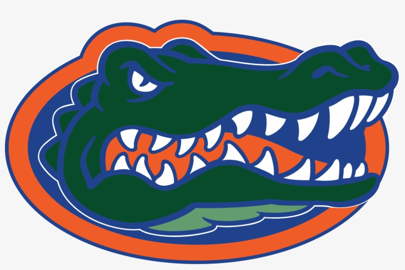 Fresh - University Of Florida Banner - 1545x956 PNG Download - PNGkit