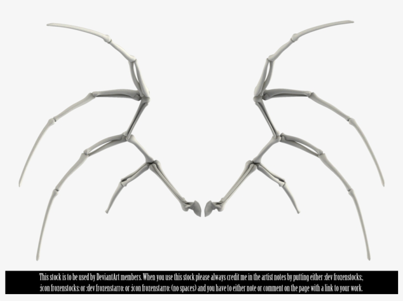 Drawn Bones Wing - Skeleton - 1024x741 PNG Download - PNGkit