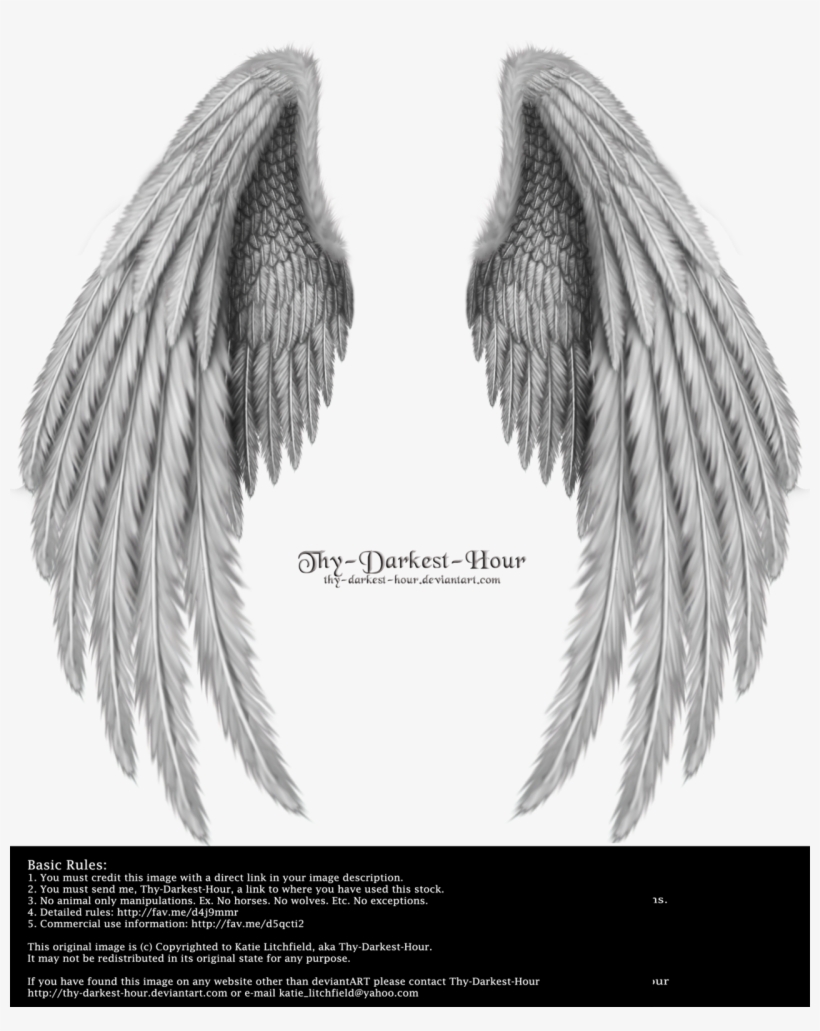 Realistic Angel Wings Side View Download - Folded Wings - 1280x1548 PNG ...