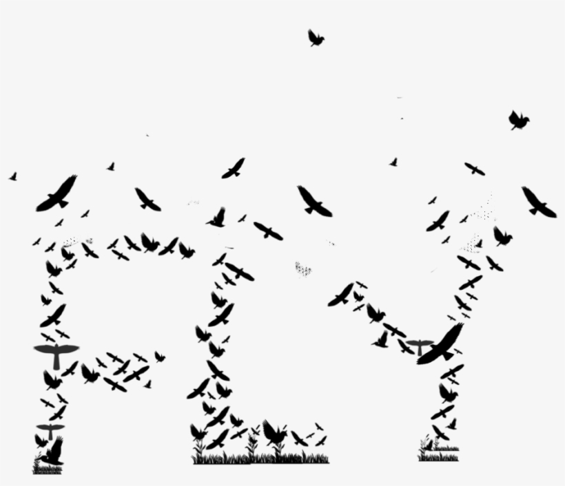 Fly Black - Calligraphy - 1240x1754 PNG Download - PNGkit