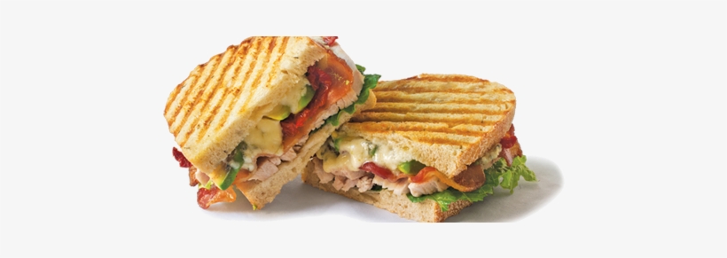 Panini Png - Ultimate Panini Press Cookbook: More Than 200 Perfect ...