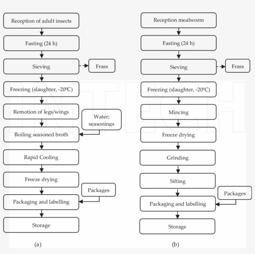 Processing Flowchart Of Cricket/grasshopper Dry Snacks - Cricket ...