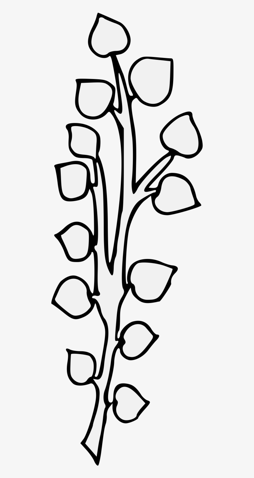 Ash Branch - Line Art - 524x1462 PNG Download - PNGkit